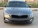 Octavia Skoda 2024 Tagamo3 - New Cairo Gray 7219004 - Car For Sale ...