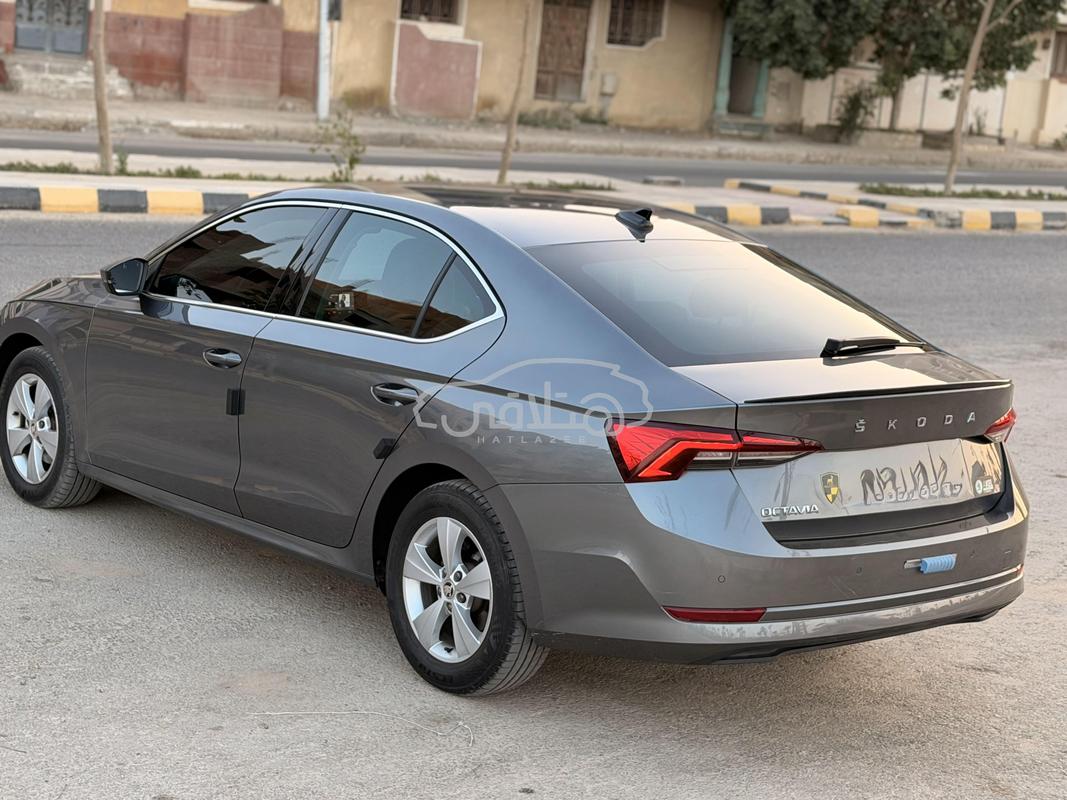 Octavia Skoda 2024 Tagamo3 - New Cairo Gray 7219004 - Car For Sale ...
